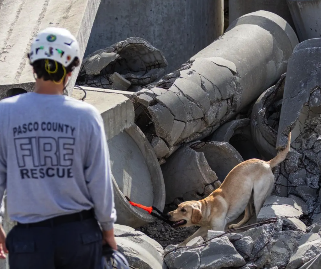 K9 Cop Magazine | Pasco County Fire Rescue adds first-ever search and ...